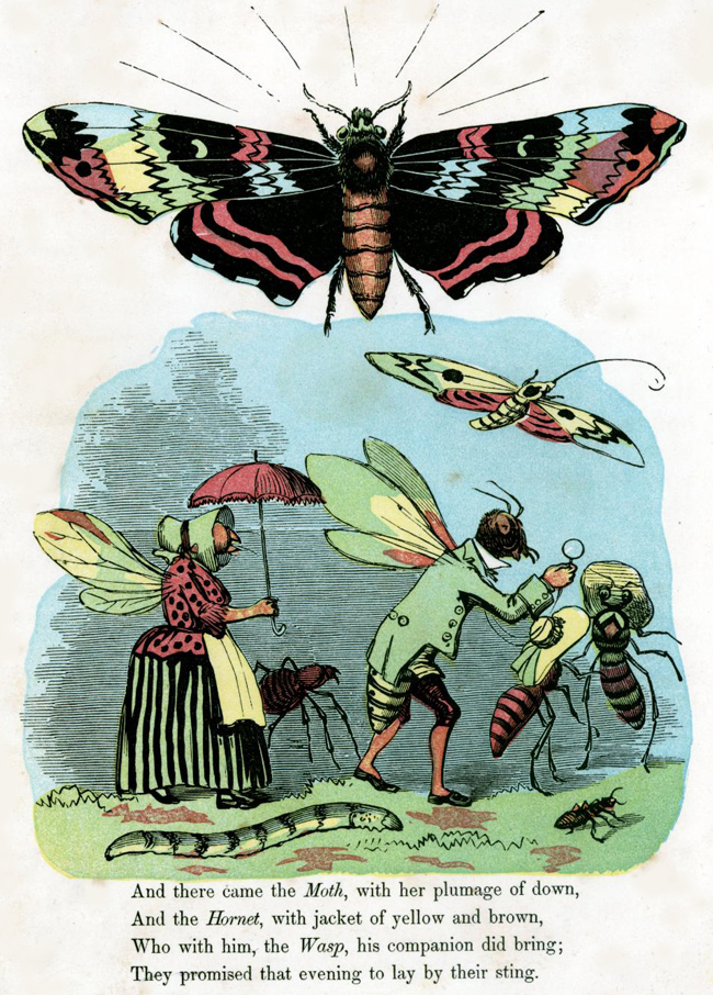 The Butterfly's Ball and the Grasshopper's Feast - 50 Watts